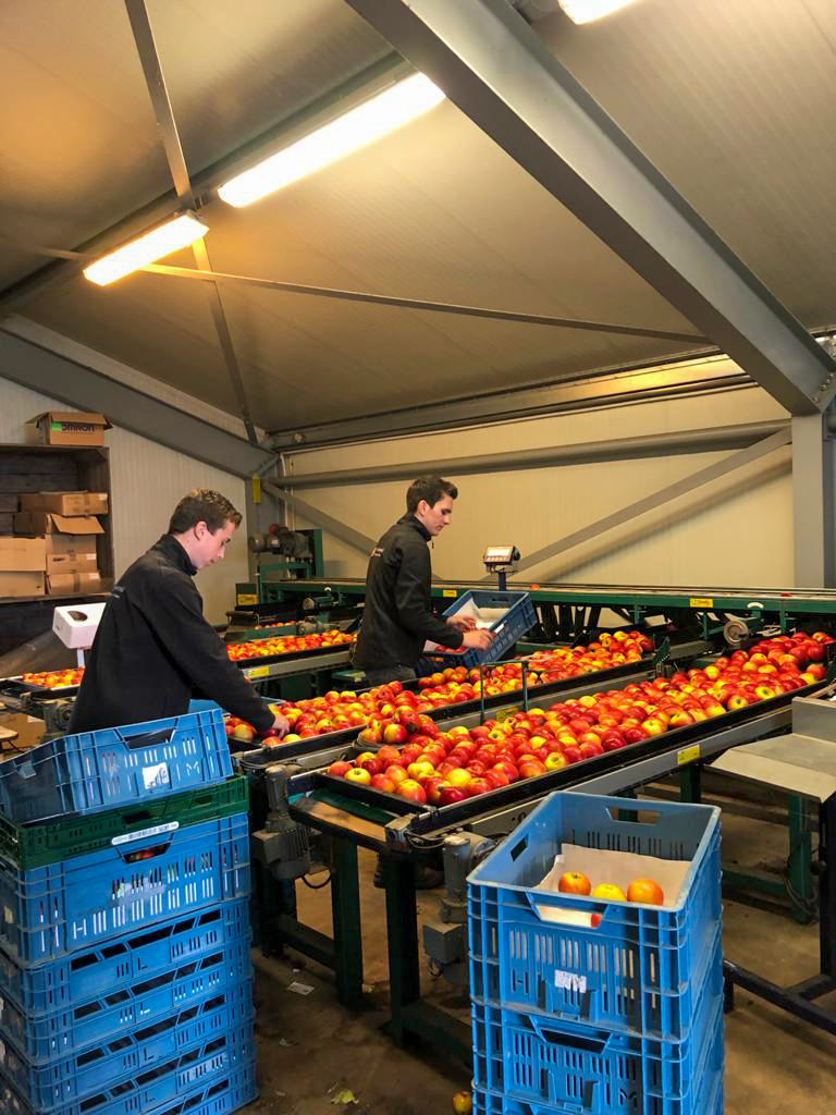 Eigen producten - Fruitteeltbedrijf van den Bosse