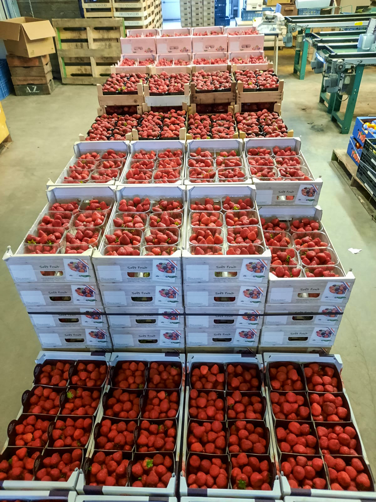 Eigen producten - Fruitteeltbedrijf van den Bosse